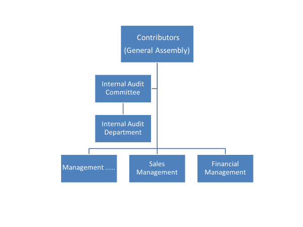 Definition of Internal Audit | ECPA